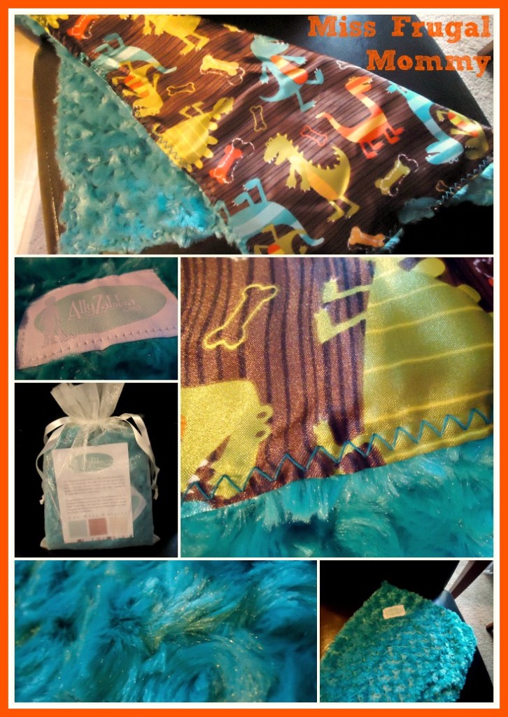 AllyZabba Baby Blanket Review – Miss Frugal Mommy