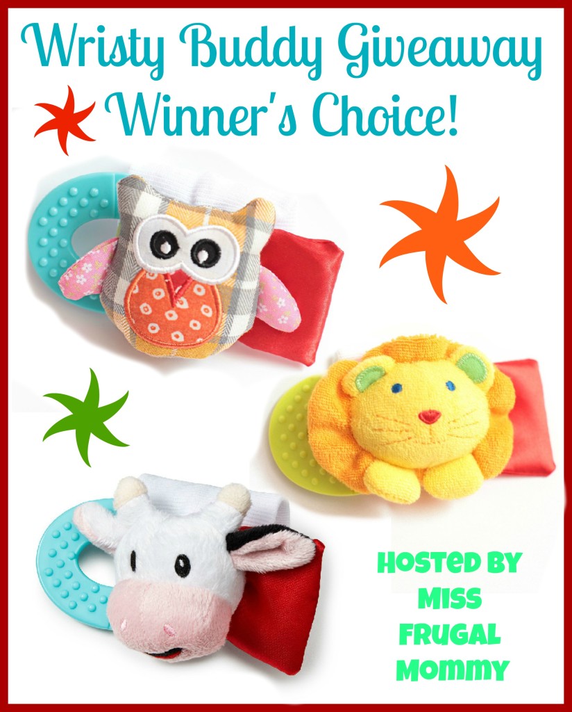 Wristy Buddy Giveaway (Winner’s Choice) – Miss Frugal Mommy