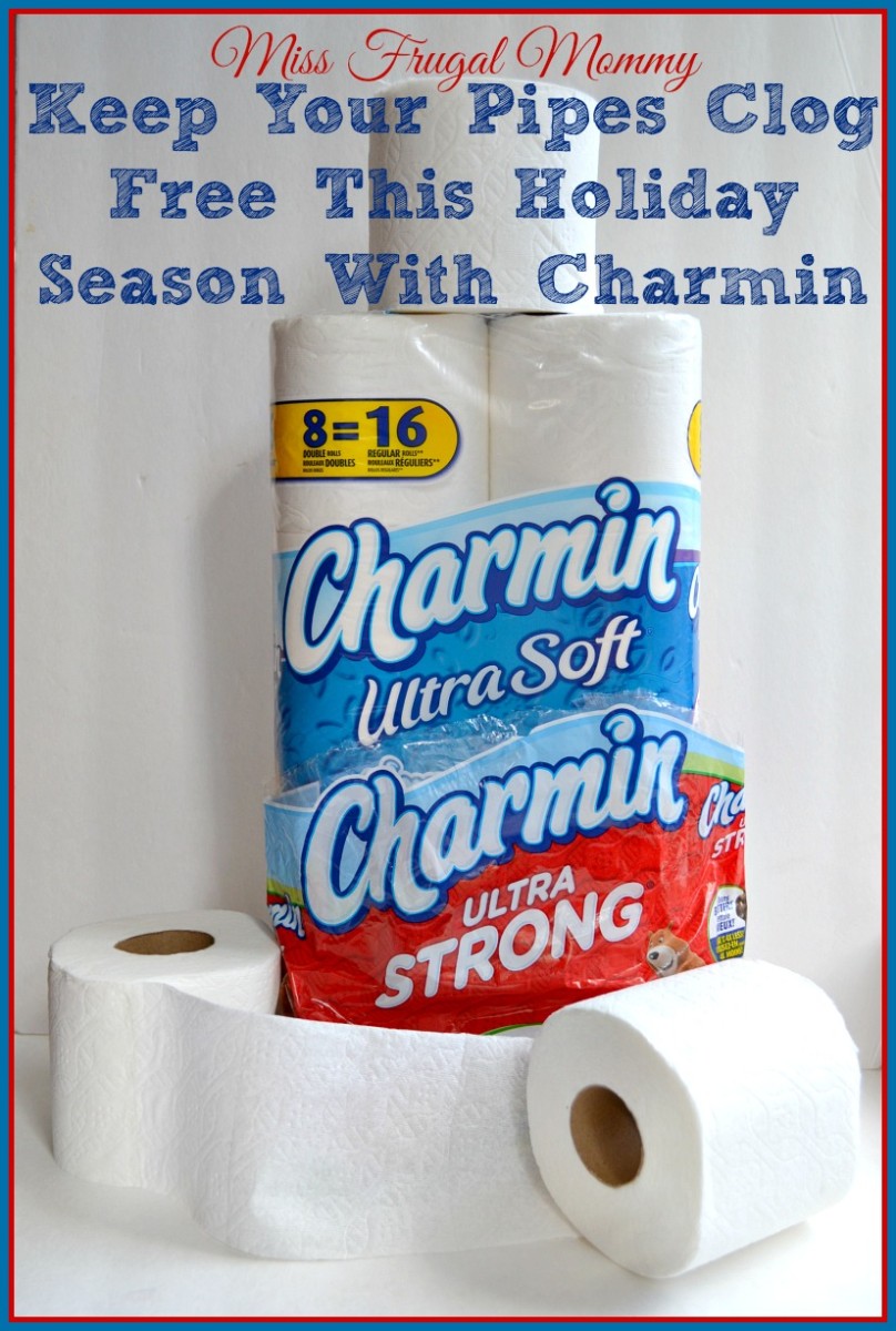 Keep Your Pipes Clog Free This Holiday Season With Charmin – Miss ...