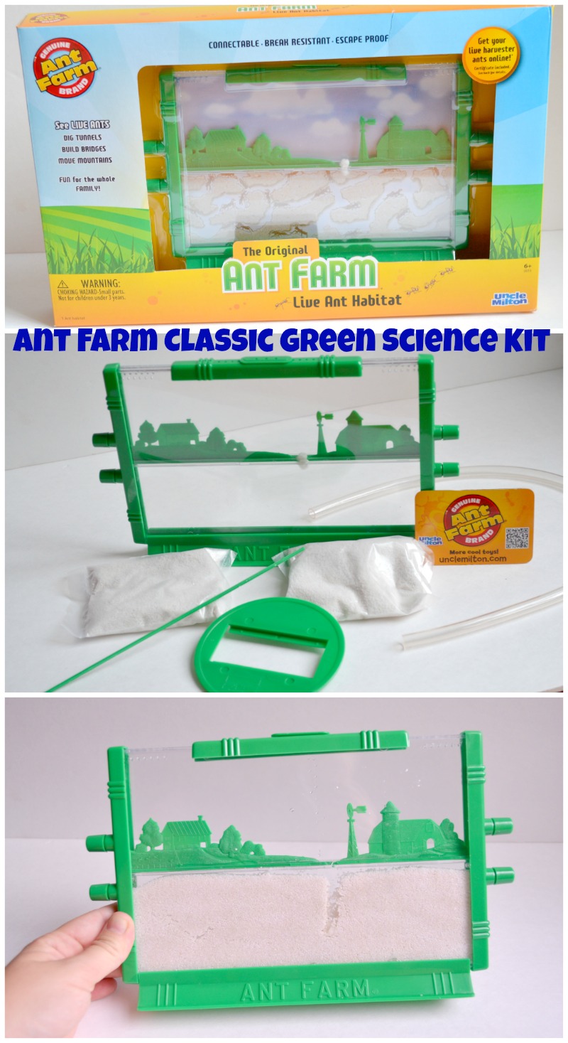 Discover Classic & Retro Toys at Tin Toy Arcade – Miss Frugal Mommy