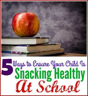 5 Ways to Ensure Your Child Is Snacking Healthy At School – Miss Frugal ...