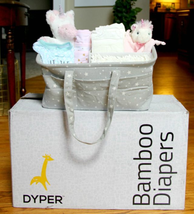 World’s 1st Bamboo Diaper ⁣Subscription – Miss Frugal Mommy